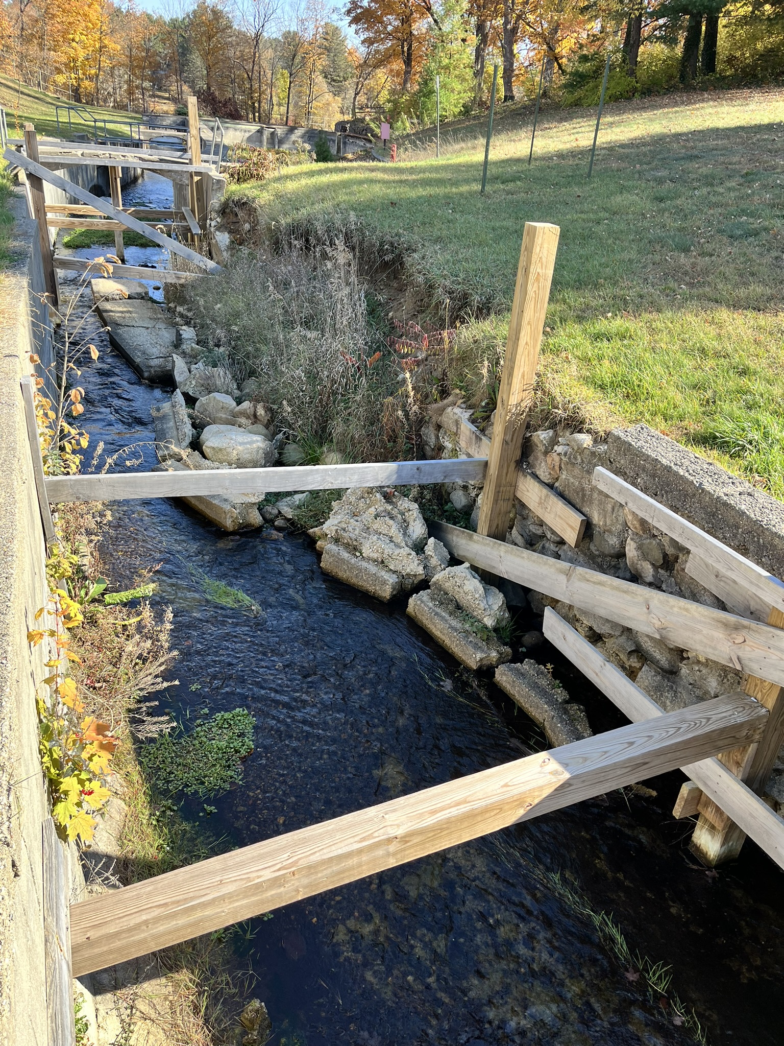 'Save the Ponds' event hoping to spark community interest and ...